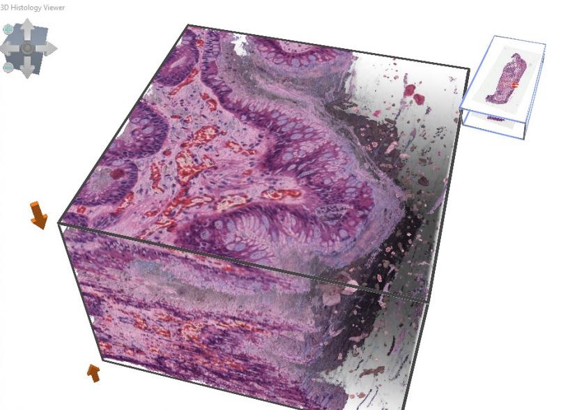 Tutorials – VCBM 2019